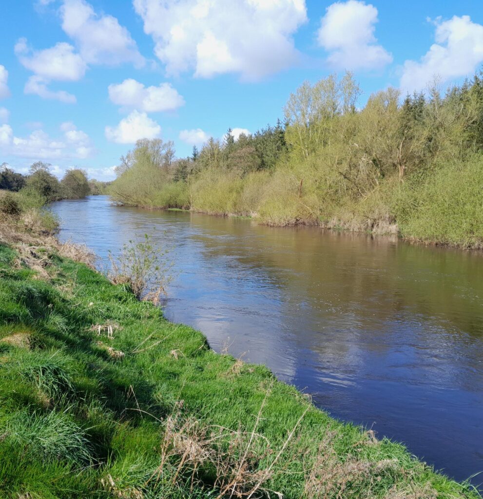 Boyne River | Fishing Getaway | Bellinter House